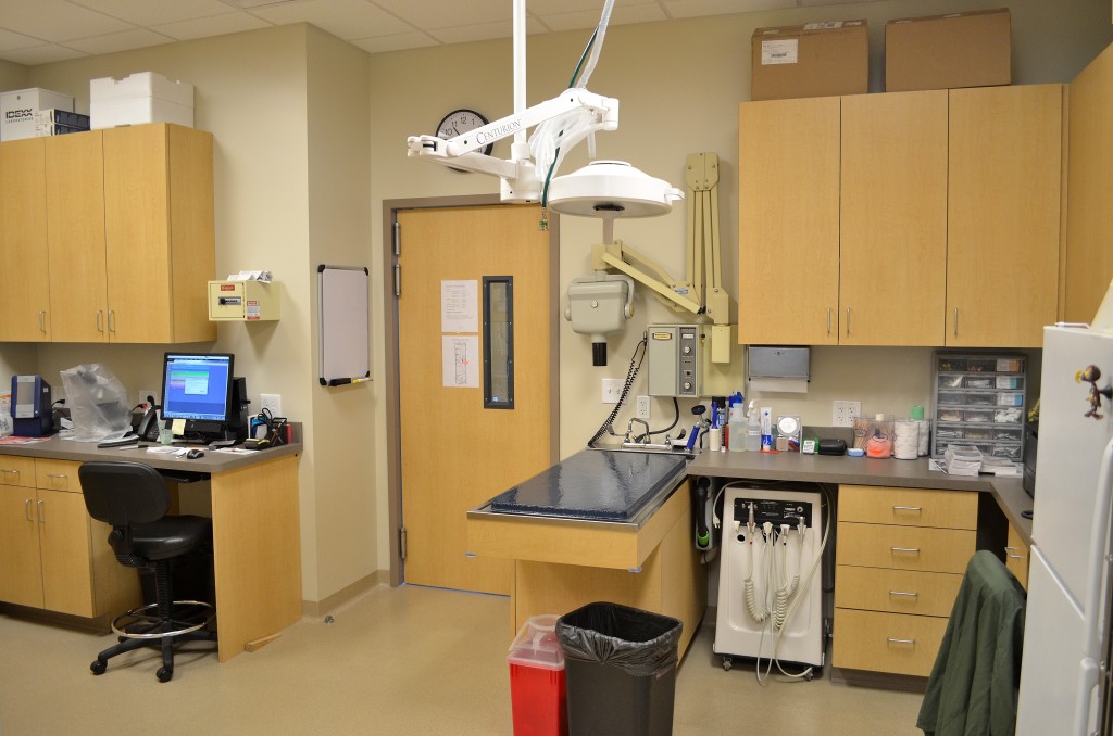 Virtual Tour