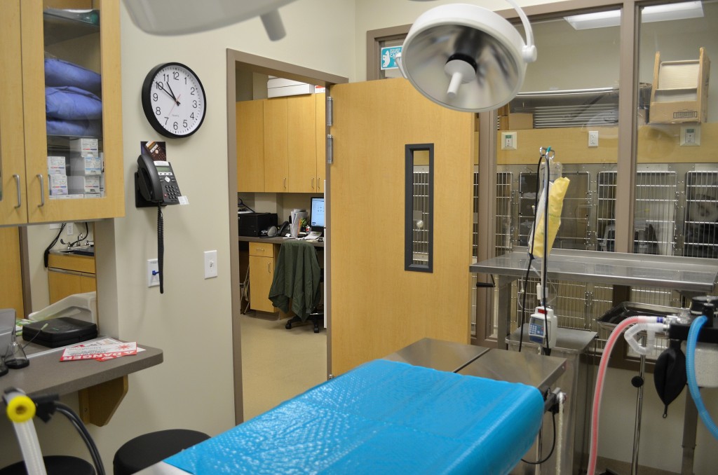 Virtual Tour